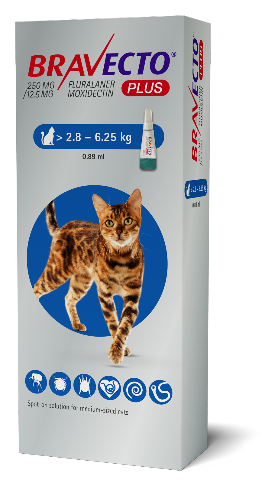 Bravecto Msd Animal Health at Harvey Horton blog