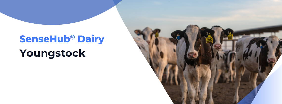 SenseHub Dairy Youngstock | MSD Animal Health HUB