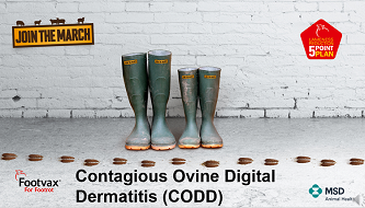 CPD Home | MSD Animal Health HUB