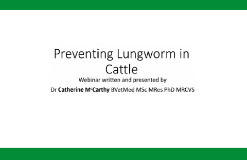CPD Home | MSD Animal Health HUB