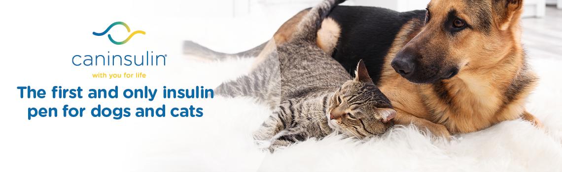 Caninsulin: About Caninsulin Suspension
