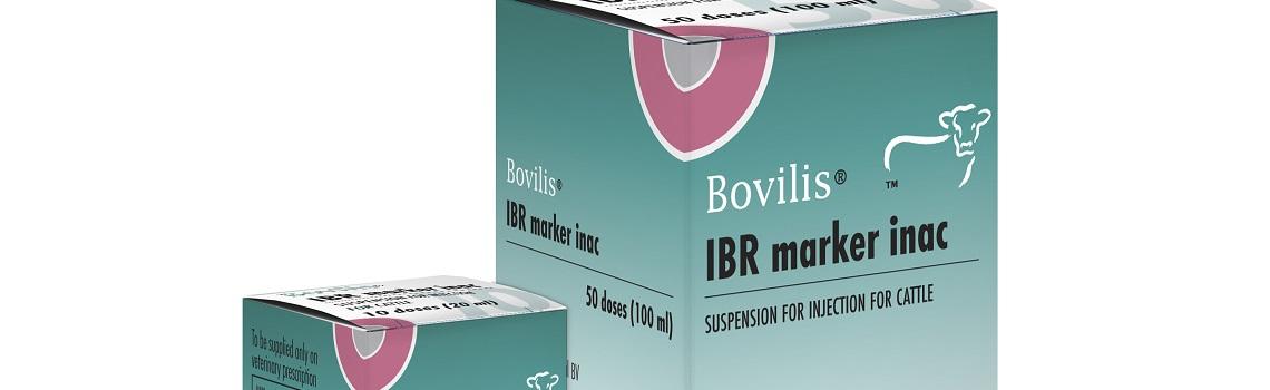 MSD Animal Health Hub: Bovilis® IBR Marker inac, Suspension for ...