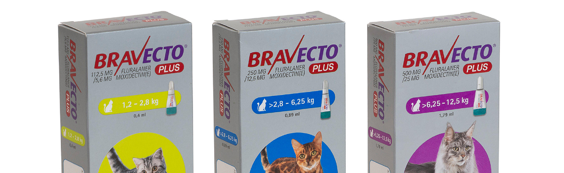 Bravecto® Plus Spot-On solution for cats | MSD Animal Health HUB