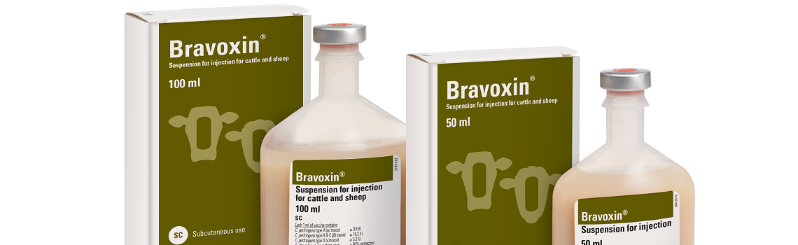 Bravoxin® Suspension for injection for cattle and sheep | MSD Animal ...