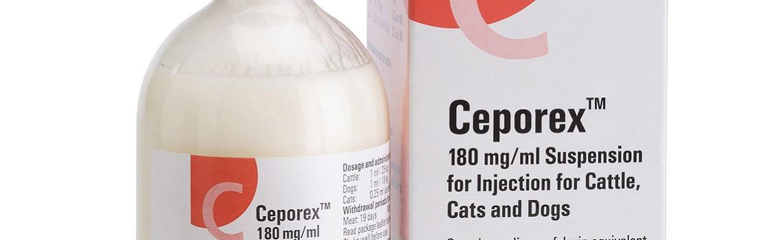 MSD Animal Health Hub: Ceporex® 180 mg/ml Suspension for injection for ...