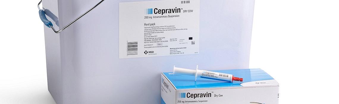 MSD Animal Health Hub: Cepravin Dry Cow 250 mg Intramammary suspension