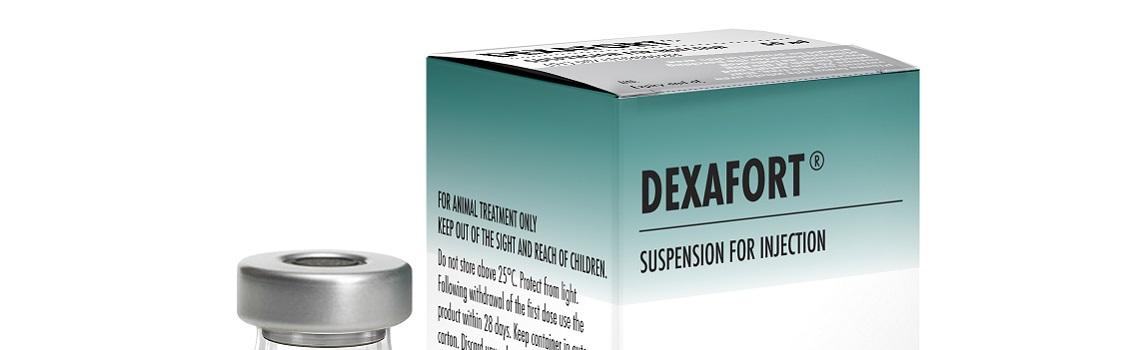 MSD Animal Health Hub: Dexafort® suspension for injection