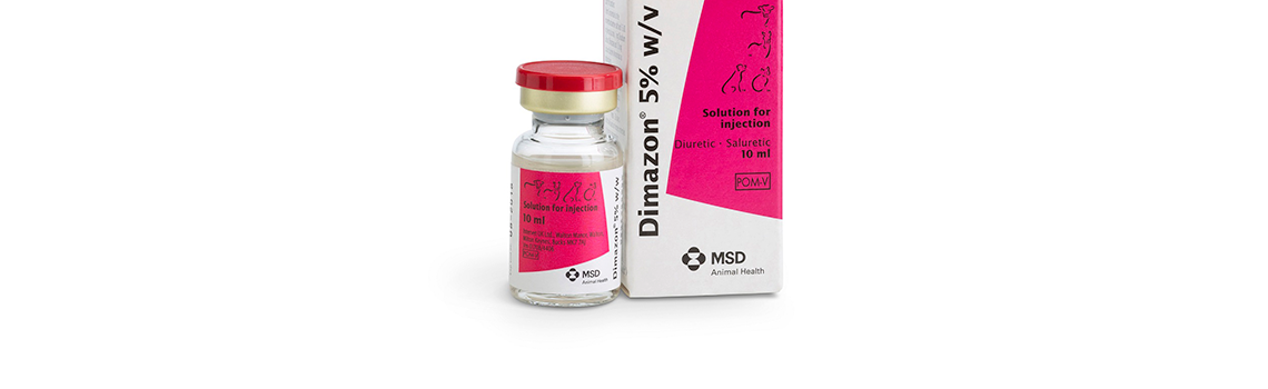 MSD Animal Health Hub: Dimazon® 5 %w/v Solution for injection