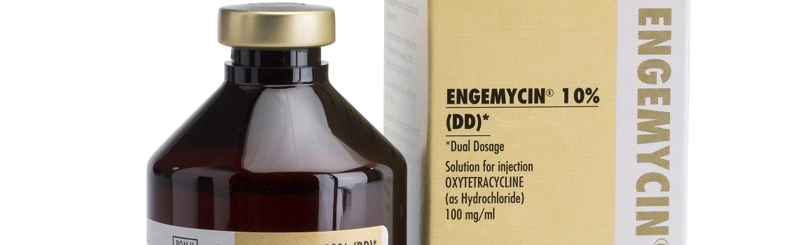 MSD Animal Health Hub: Engemycin® 10 % (DD) Solution for injection
