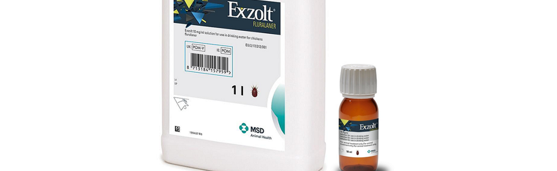 Exzolt® 10 mg/ml solution for use in drinking water for chickens | MSD ...