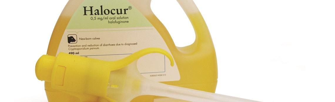 MSD Animal Health Hub: Halocur® 0.5 mg/ml oral solution for calves