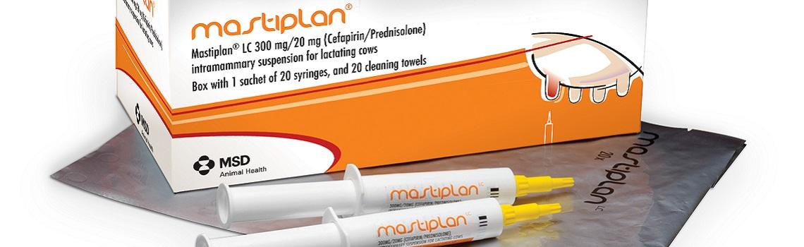 MSD Animal Health Hub: Mastiplan® LC 300mg/20mg (Cefapirin/Prednisolone ...