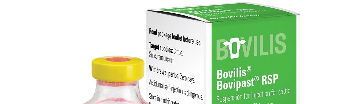 MSD Animal Health Hub: Bovilis® Bovipast RSP Q & A