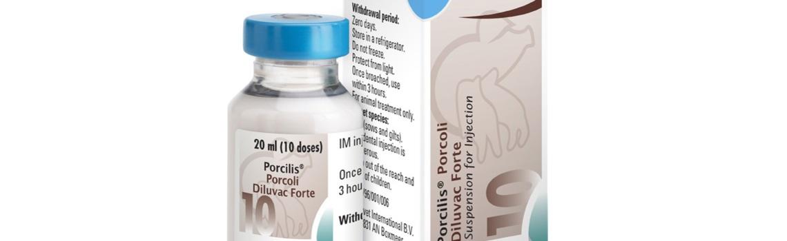Porcilis® Porcoli Diluvac Forte | MSD Animal Health HUB