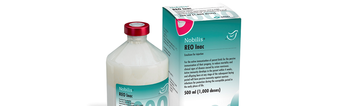 Nobilis® REO Inac | MSD Animal Health HUB
