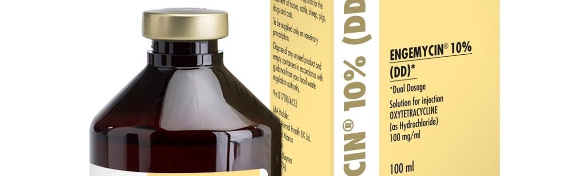 Engemycin® 10% (DD) Solution for injection | MSD Animal Health HUB