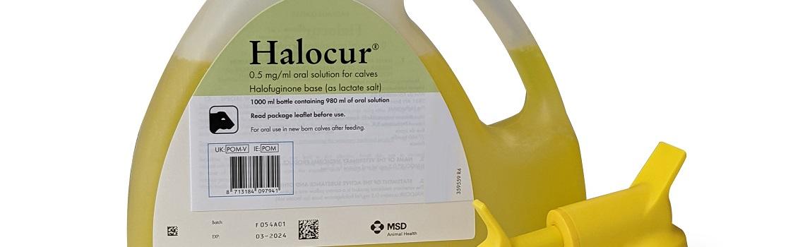 MSD Animal Health Hub: Halocur® 0.5 mg/ml oral solution for calves