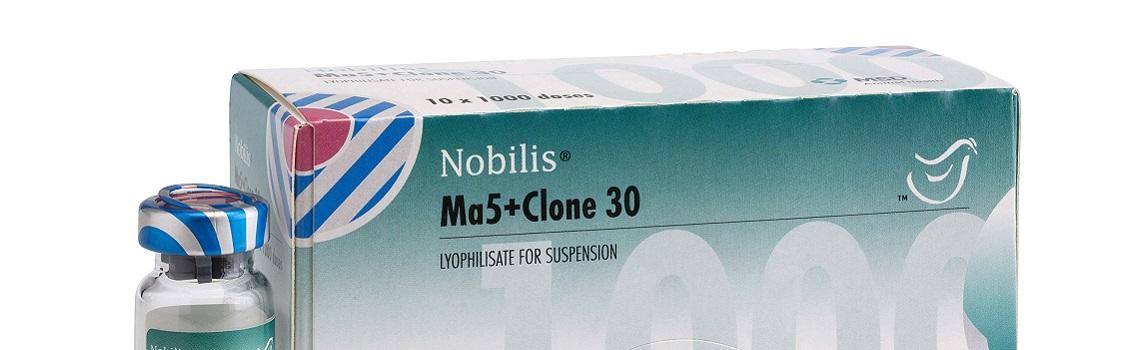 Nobilis® Ma5 + Clone 30 | MSD Animal Health HUB
