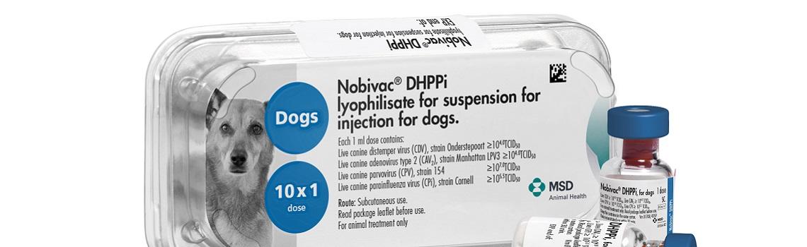 MSD Animal Health Hub: Nobivac® DHPPi Q & A