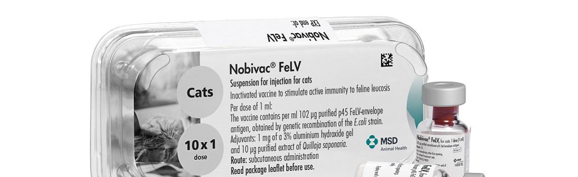 Nobivac® FeLV, suspension for injection for cats | MSD Animal Health HUB