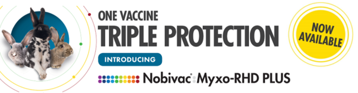 MSD Animal Health Hub: Nobivac® Myxo-RHD PLUS