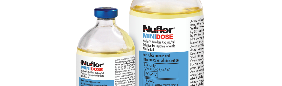 MSD Animal Health Hub: Nuflor® Minidose 450 mg/ml solution for ...