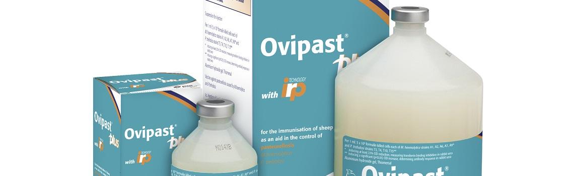 MSD Animal Health Hub: Ovipast® Plus