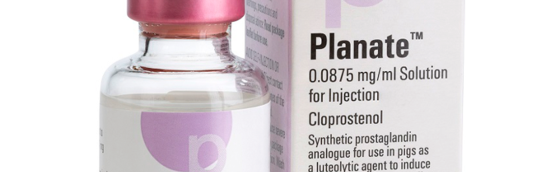 PlanateTM 0.0875 mg/ml Solution for injection | MSD Animal Health HUB