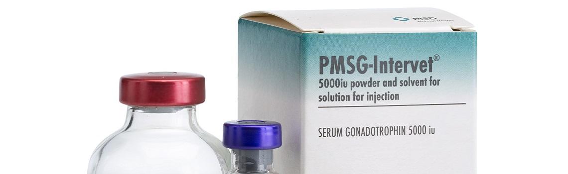 PMSG-Intervet® 5000 iu Powder and solvent for solution for injection ...