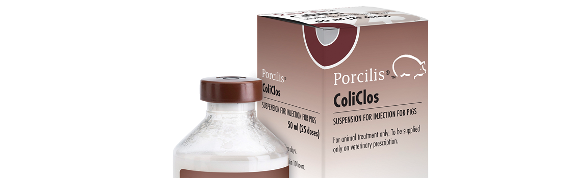 Porcilis® ColiClos Suspension for injection for pigs | MSD Animal ...