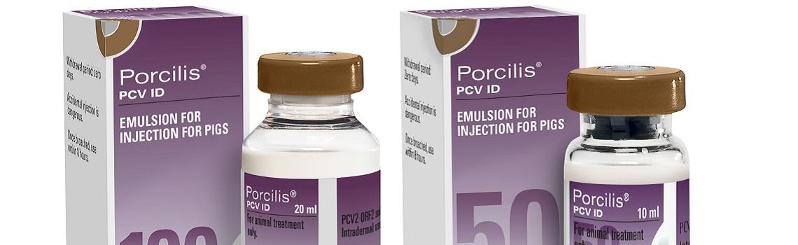 MSD Animal Health Hub: Porcilis® PCV ID emulsion for injection for pigs
