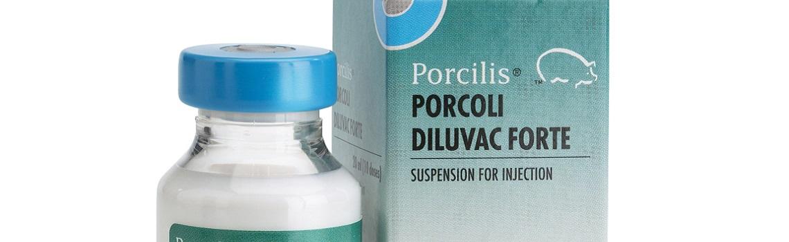 MSD Animal Health Hub: Porcilis® Porcoli Diluvac Forte