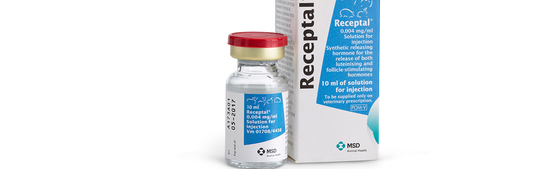 Receptal® 0.004 mg/ml Solution for Injection | MSD Animal Health HUB