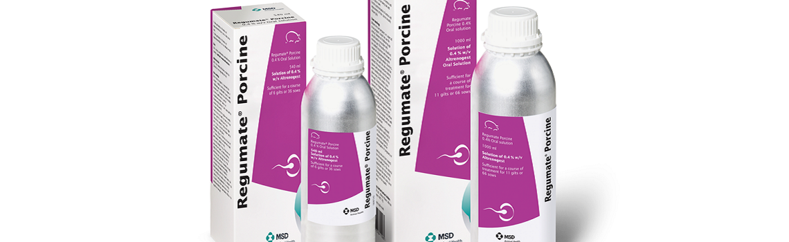 MSD Animal Health Hub: Regumate® Porcine 0.4 % w/v oral solution