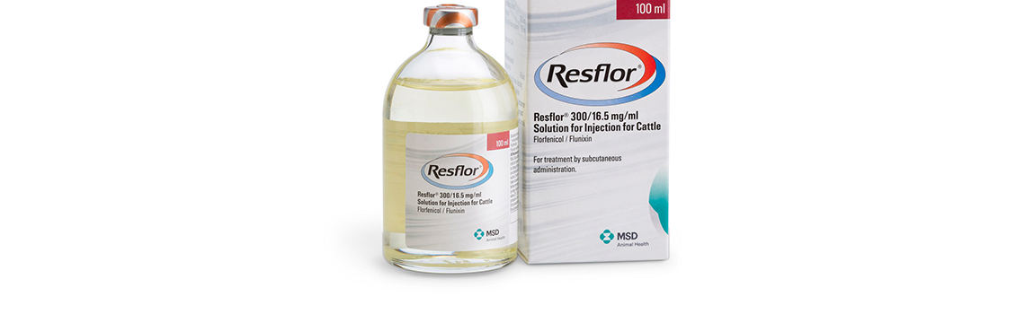 Resflor® 300/16.5 mg/ml Solution for Injection for Cattle | MSD Animal ...