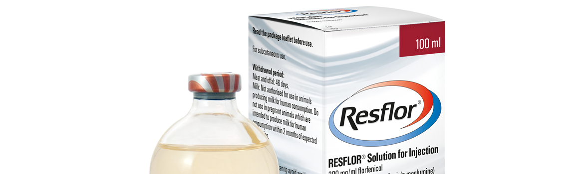Resflor® 300/16.5 mg/ml Solution for Injection for Cattle | MSD Animal ...