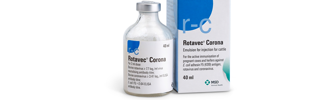 MSD Animal Health Hub: Rotavec® Corona Emulsion for injection for cattle