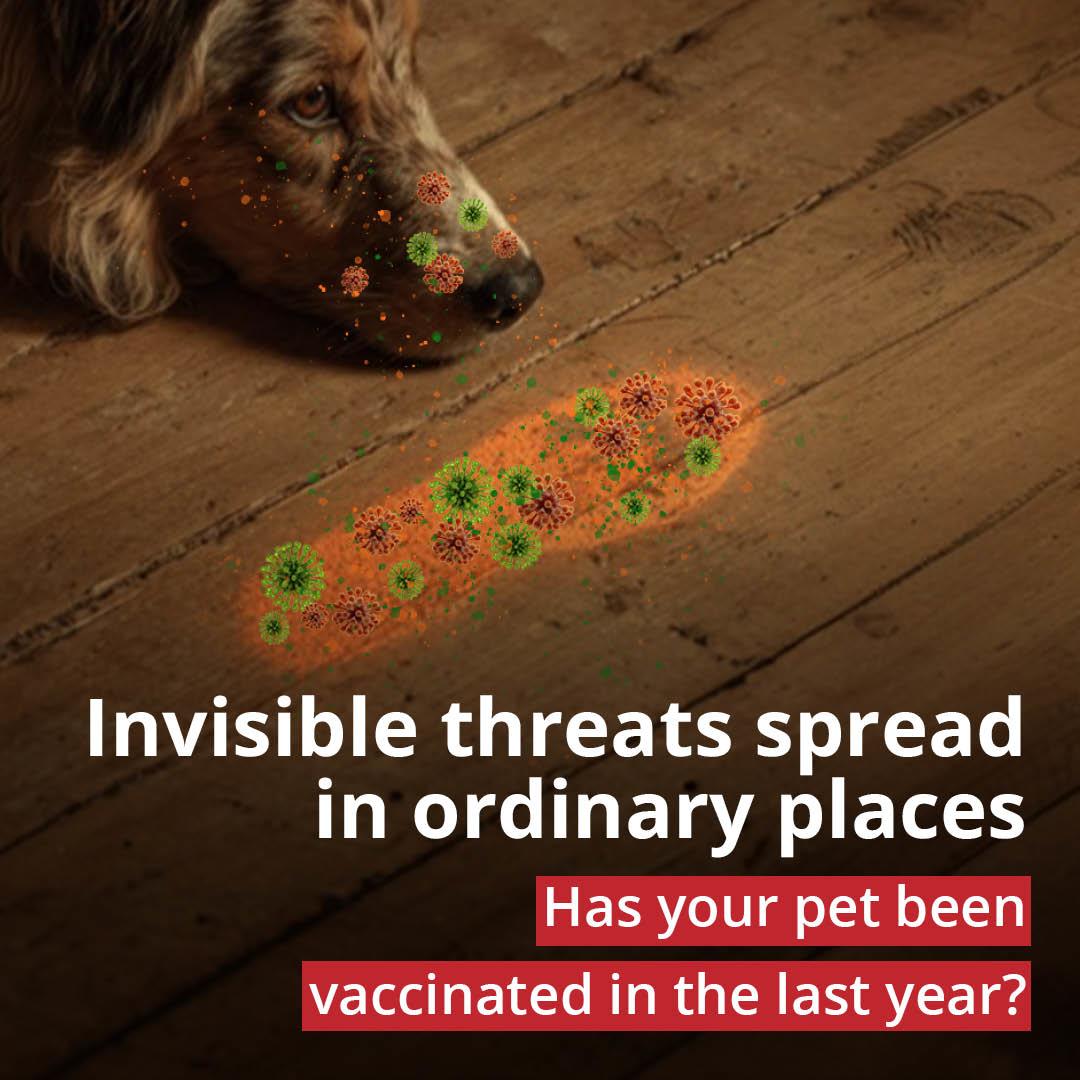 National Pet Vaccination Month 2026 | MSD Animal Health HUB