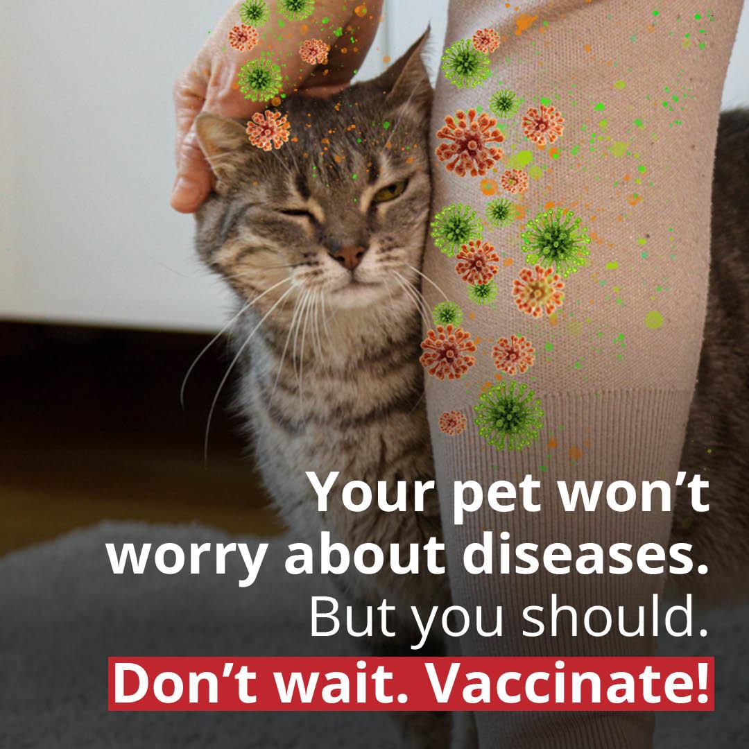 National Pet Vaccination Month 2026 | MSD Animal Health HUB