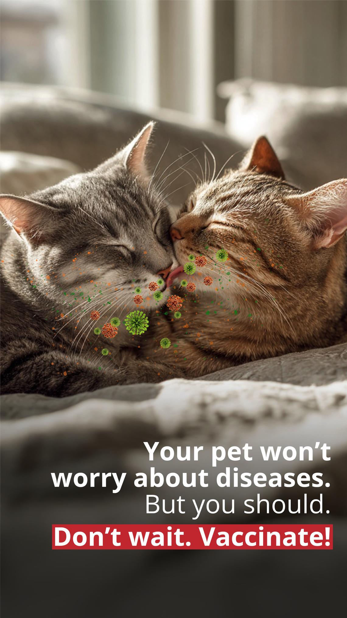National Pet Vaccination Month 2026 | MSD Animal Health HUB