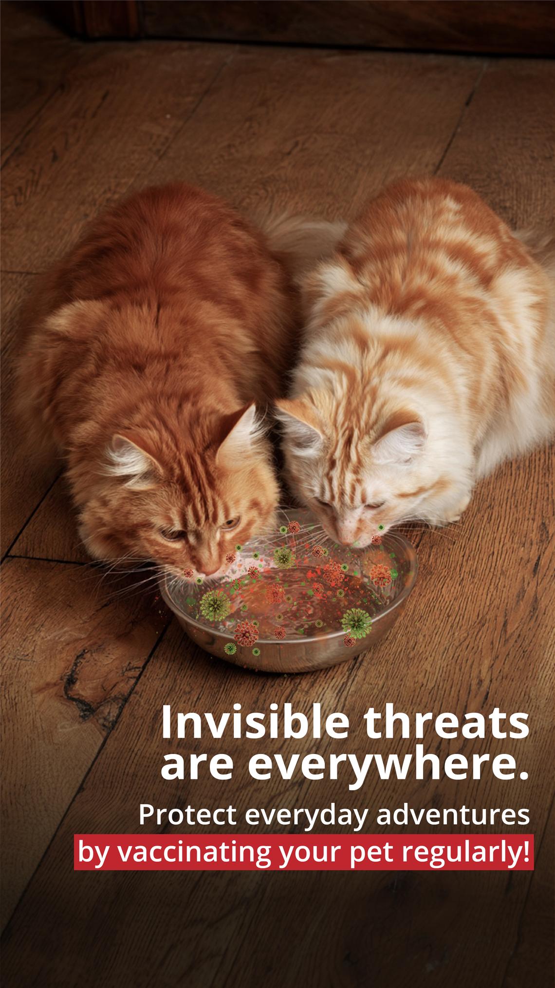 National Pet Vaccination Month 2026 | MSD Animal Health HUB
