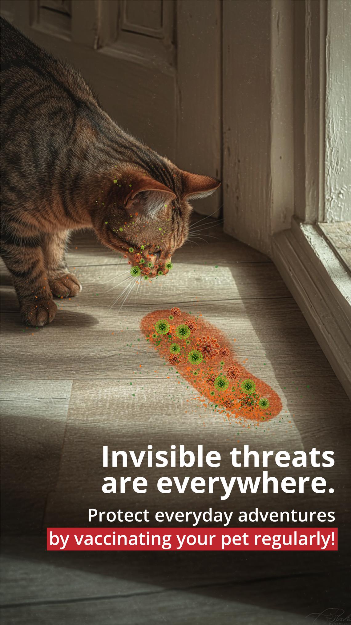 National Pet Vaccination Month 2026 | MSD Animal Health HUB