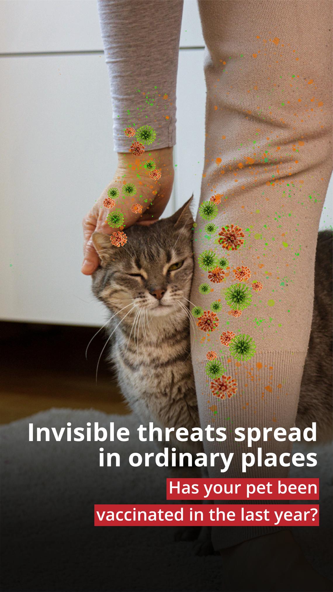 National Pet Vaccination Month 2026 | MSD Animal Health HUB