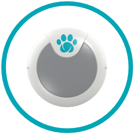 Sure Petcare® | MSD Animal Health HUB