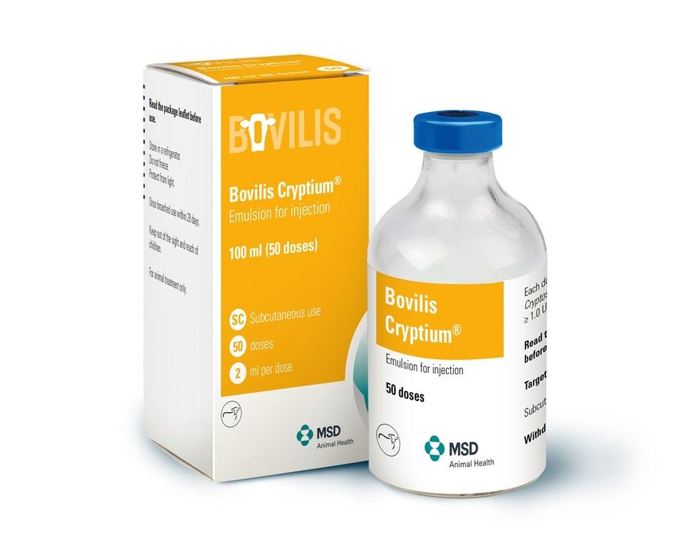 Bovilis Cryptium® emulsion for injection for cattle | MSD Animal Health HUB