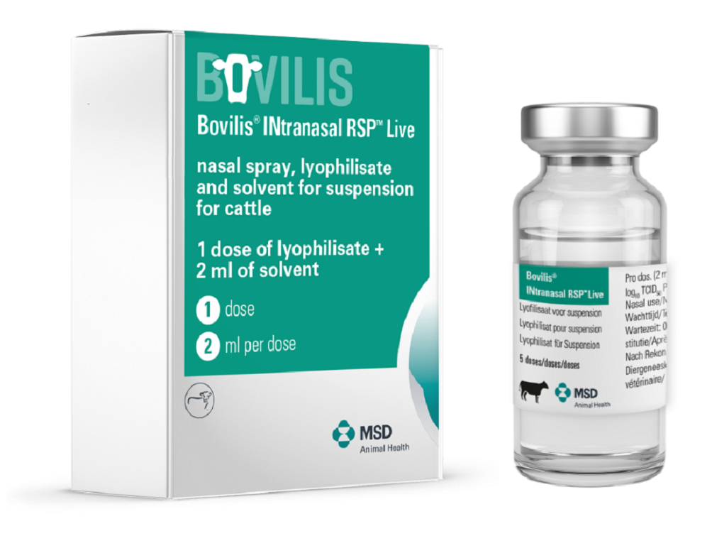 MSD Animal Health Hub: Bovilis® INtranasal RSP™ Live