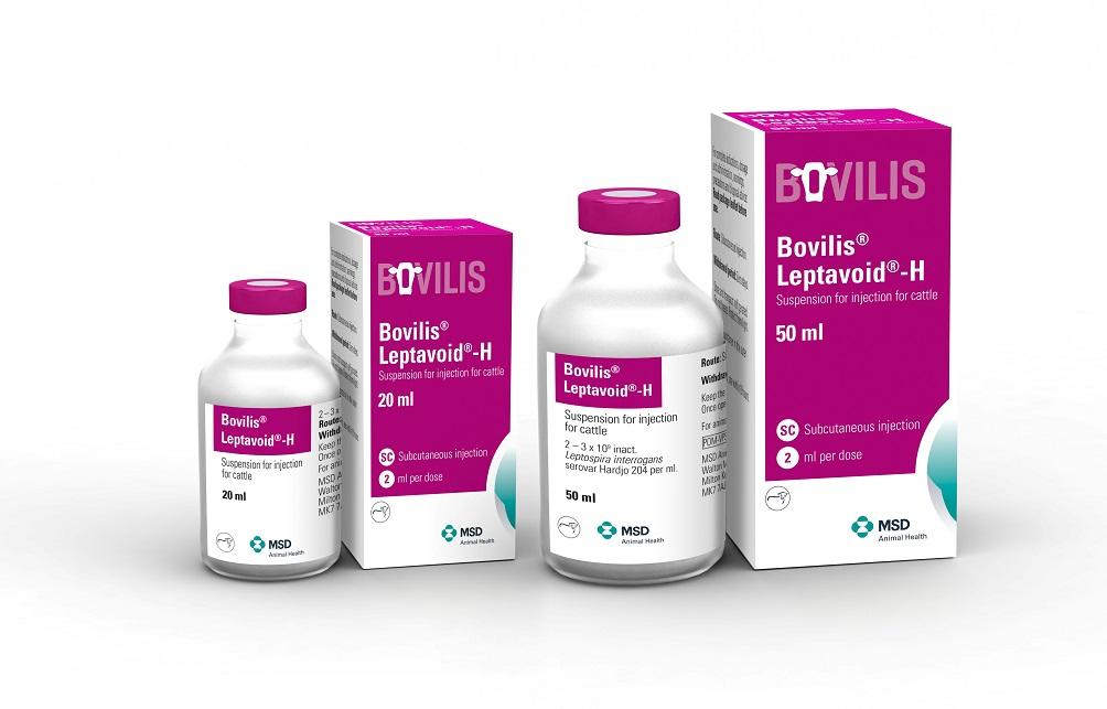 Bovilis® Leptavoid®-H Suspension for injection for cattle | MSD Animal ...