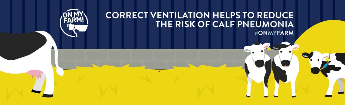 Calf Pneumonia