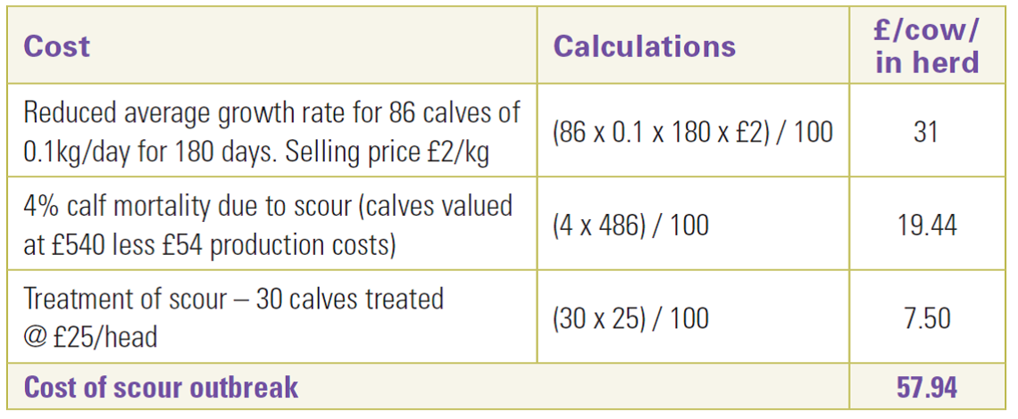 Calf Scours: Causes, Prevention And Treatment – EOYS