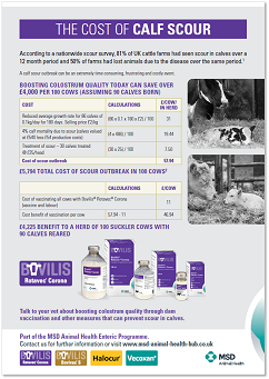 Calf Scour Causes, Costs and Prevention | MSD Animal Health HUB